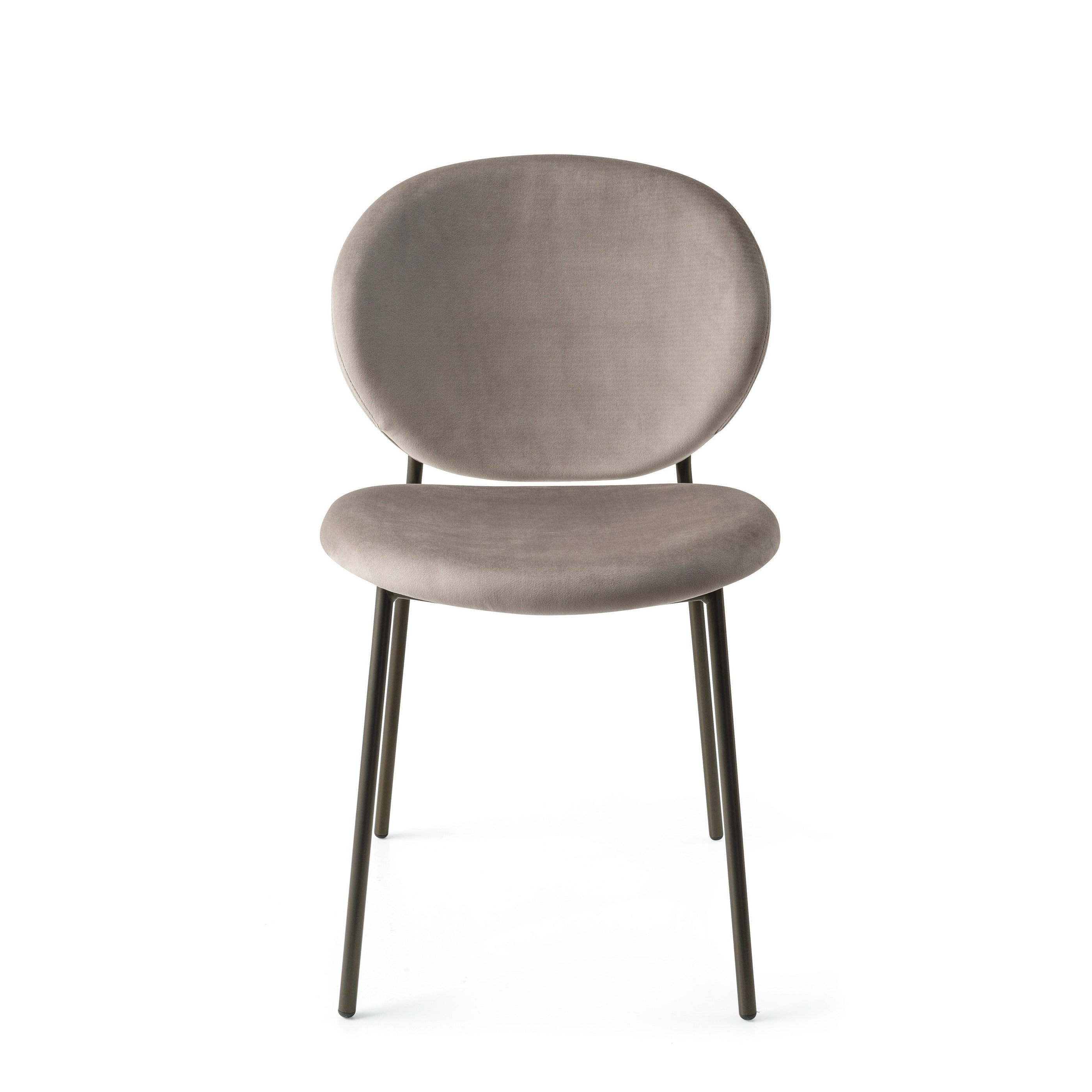 Ines CS2004 Dining Chair — Calligaris Westchester