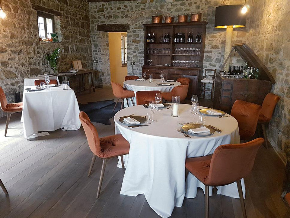 Annie CS1846 Dining Chair — Calligaris New York Westchester