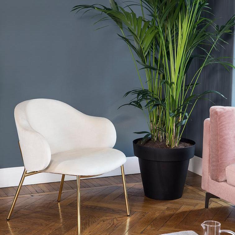 Holly CS3417-M 1300 Lounge Chair — Calligaris Westchester